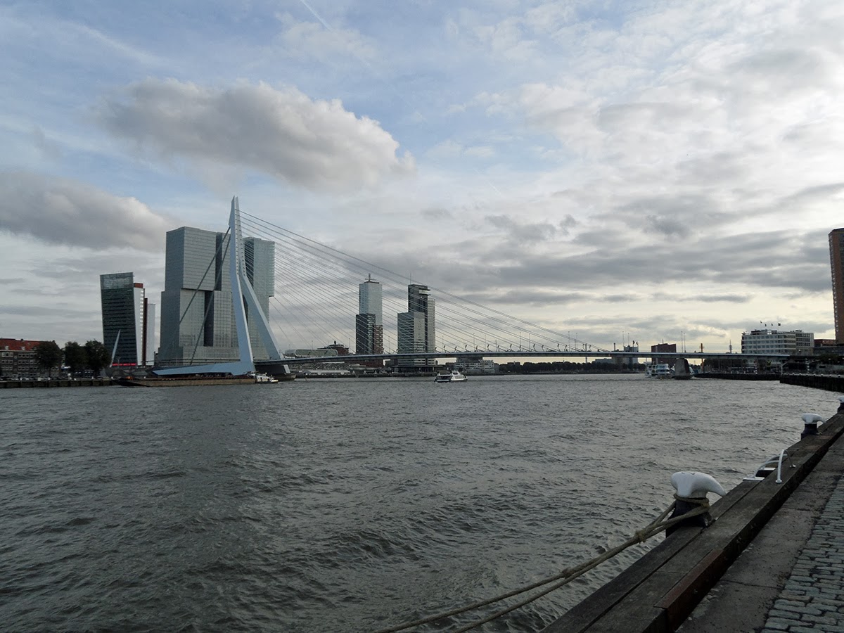 The Happy Pontist: Rotterdam Bridges: 1. Erasmus Bridge