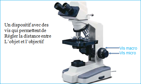 Les différents types des microscopes - Optique, Photonique, Electronique | Bio faculté
