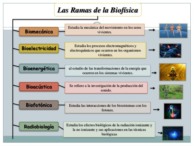 Biofísica Med: UNIDAD I: Principios de la Biofísica. Origen del ...