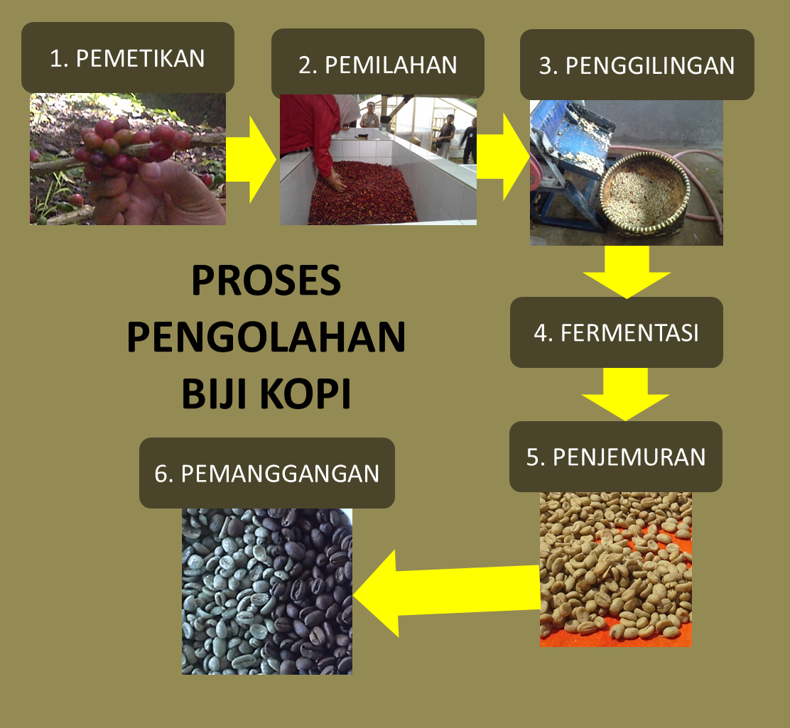 Camp On Farm : Melihat Langsung Proses Pengolahan Biji Kopi