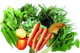 Maelezo ya Msingi Kuhusu Kilimo cha Mboga Mboga - Vegetables