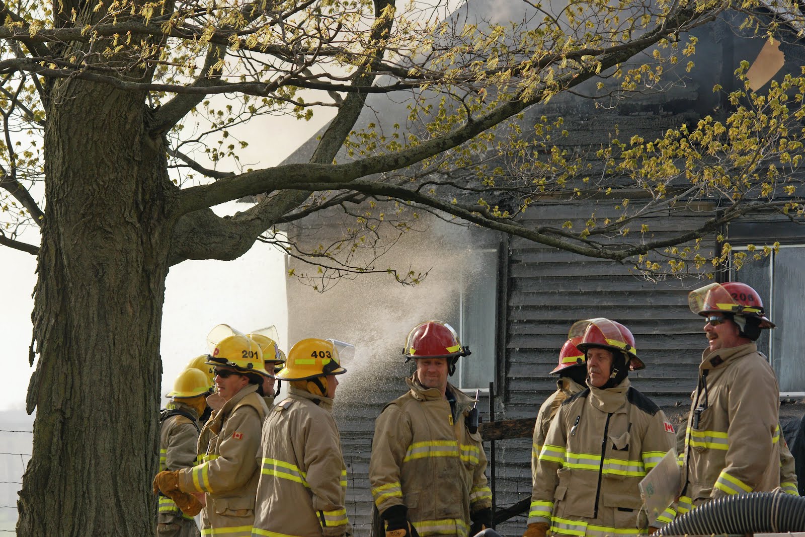Nature Works Photography: Firemen at work
