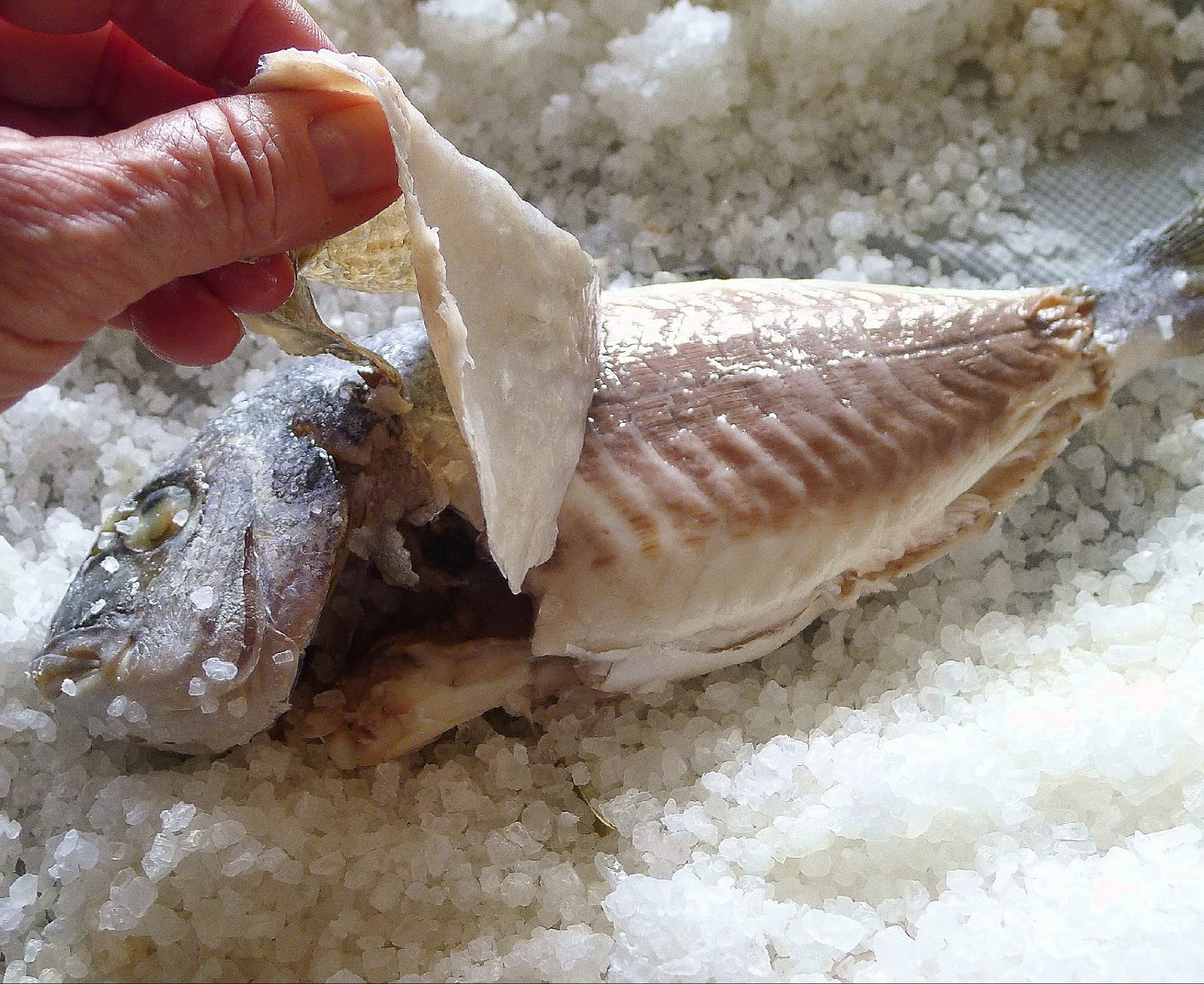 MY KITCHEN IN SPAIN: HOW TO BAKE FISH IN SALT