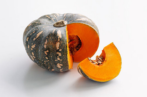 CARA SUKSES MENANAM LABU KUNING | Tips Petani