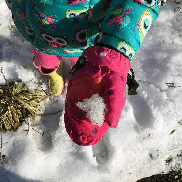 Tickled by the Creative Bug: Keeping Little Hands Warm in the Snow ...