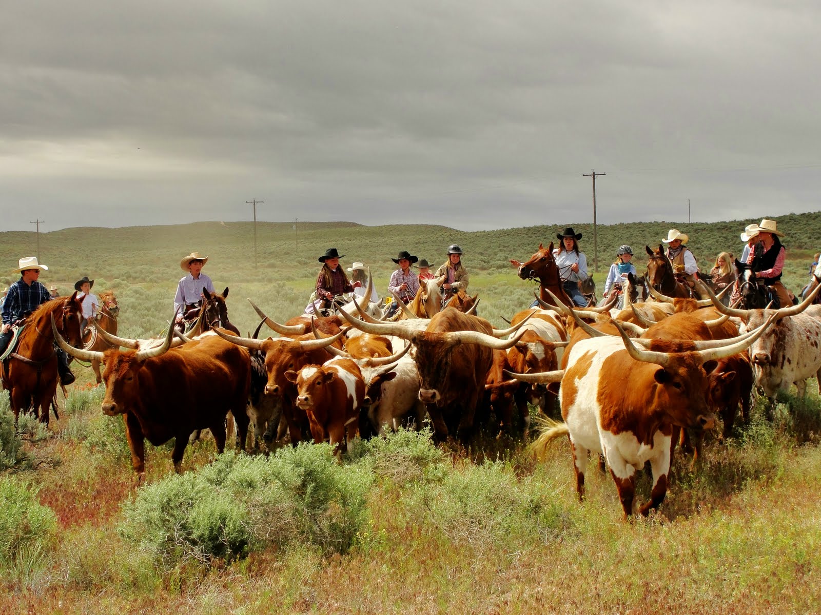 Idaho Travel: Things To Do: Idaho Vacation: Murphy Outpost Days