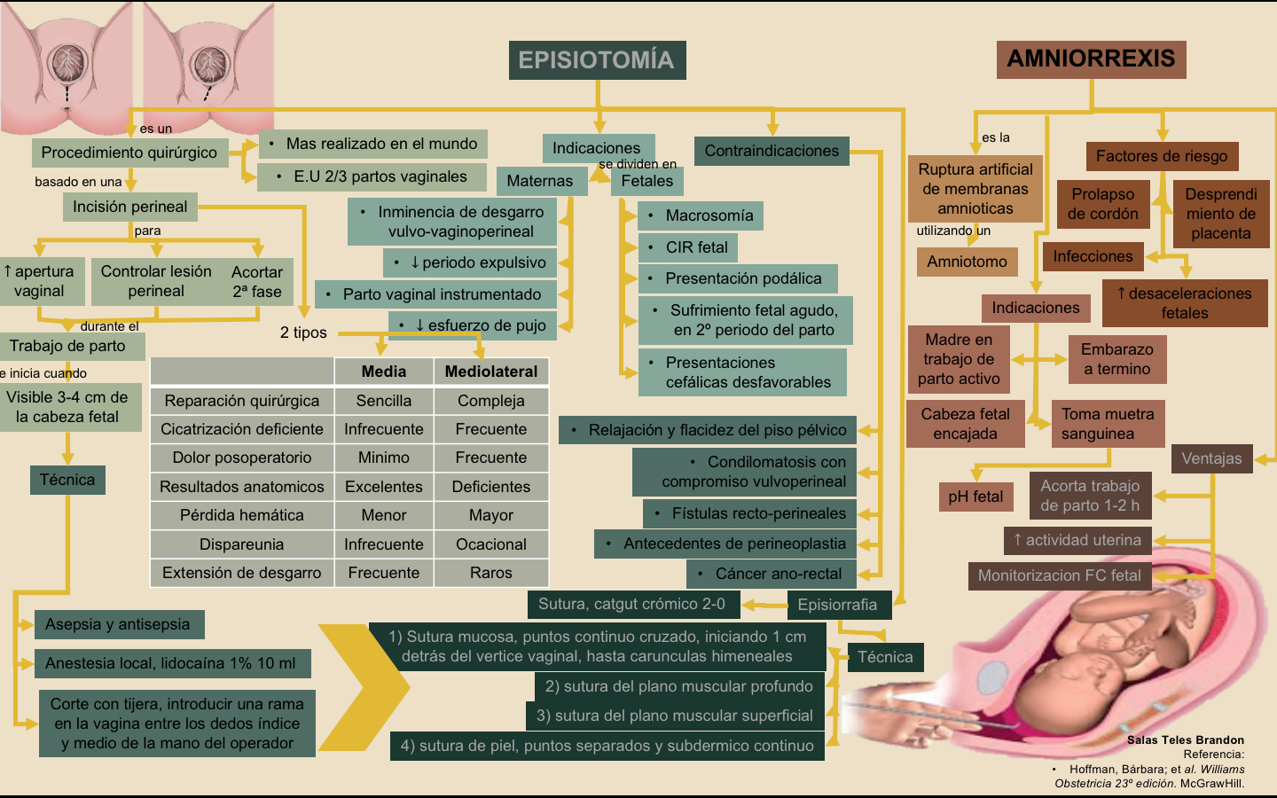 BLOG DE EVIDENCIAS DE LA MATERIA DE GINECOLOGÍA Y OBSTETRICIA ...