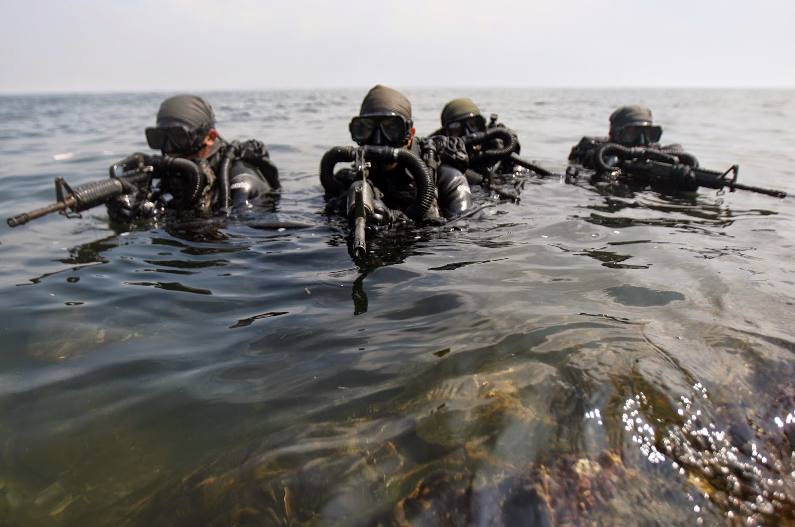 Alive, The Journey!: The Navy Seal Team (NAVSOG)