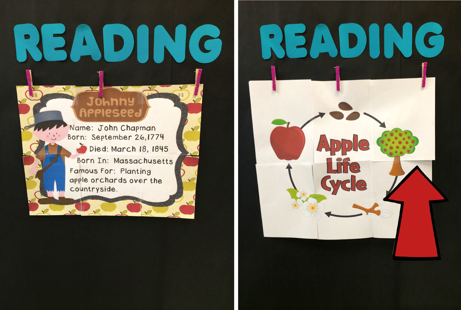 Learning Lessons With Amy Labrasciano: Apples