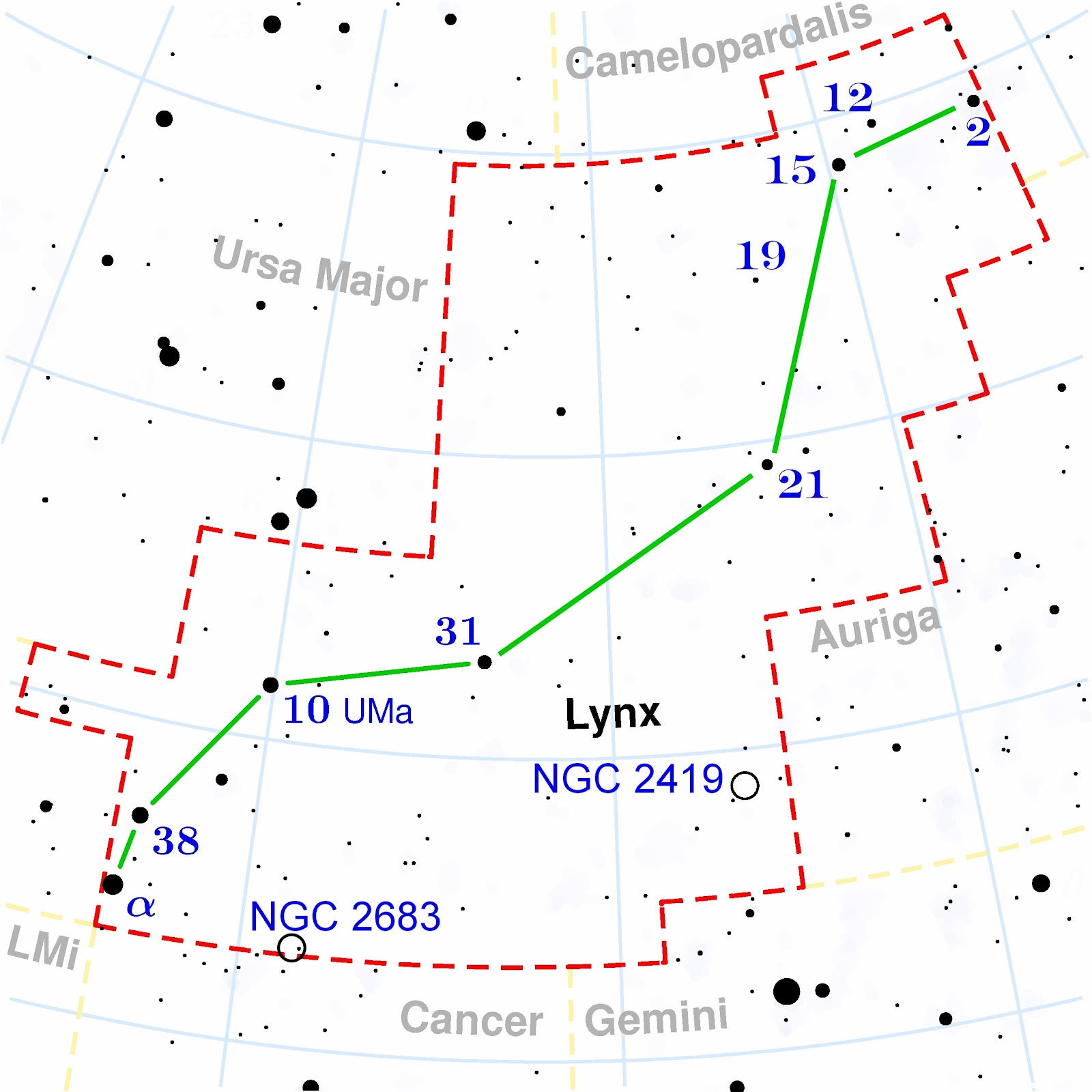 Astronomia: Lynx ( Lince )