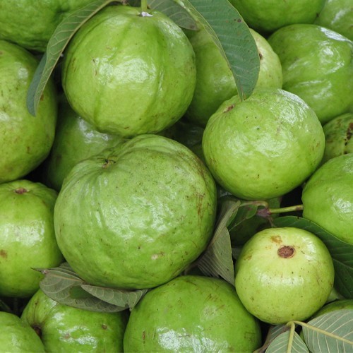 இயற்கை எழில்