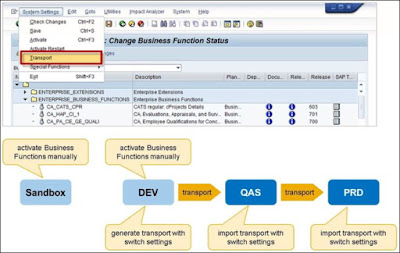More About SAP-BASIS....: August 2018