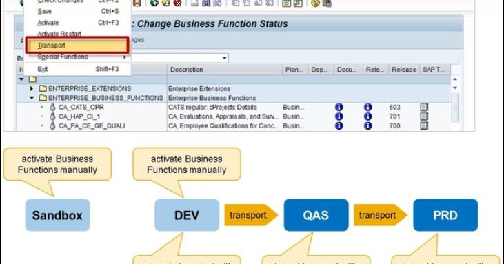 More About SAP-BASIS....: Business Functions in SAP