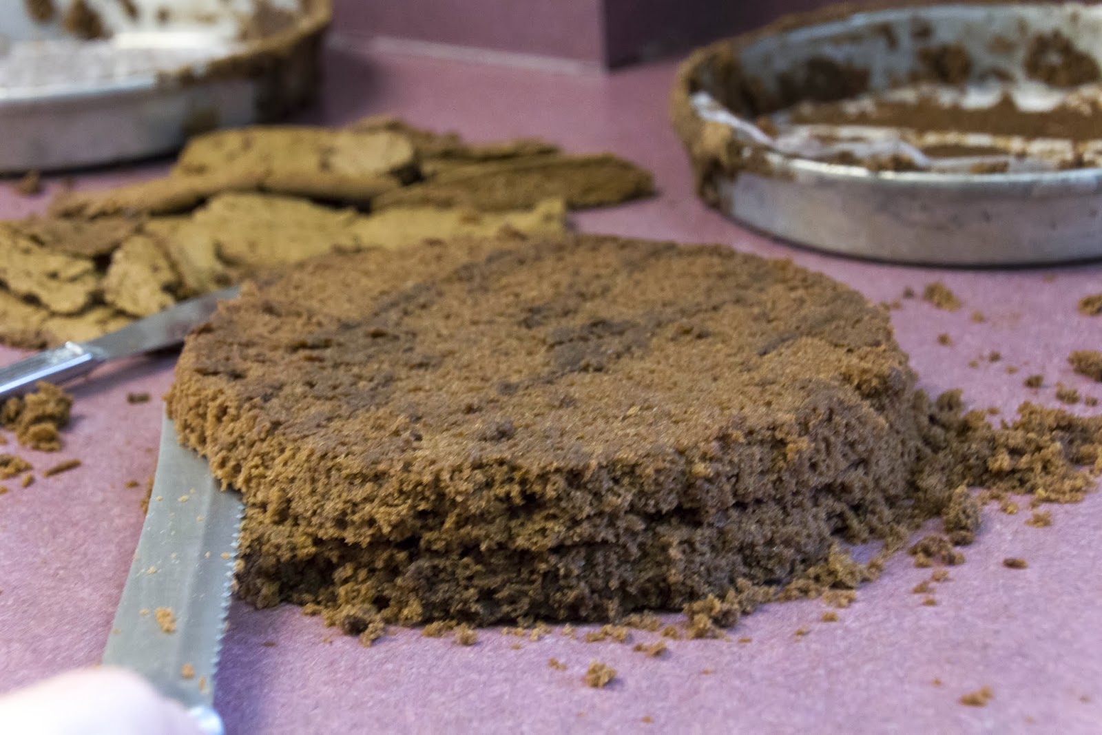 The Birchwood Pie Project: German Chocolate Cake
