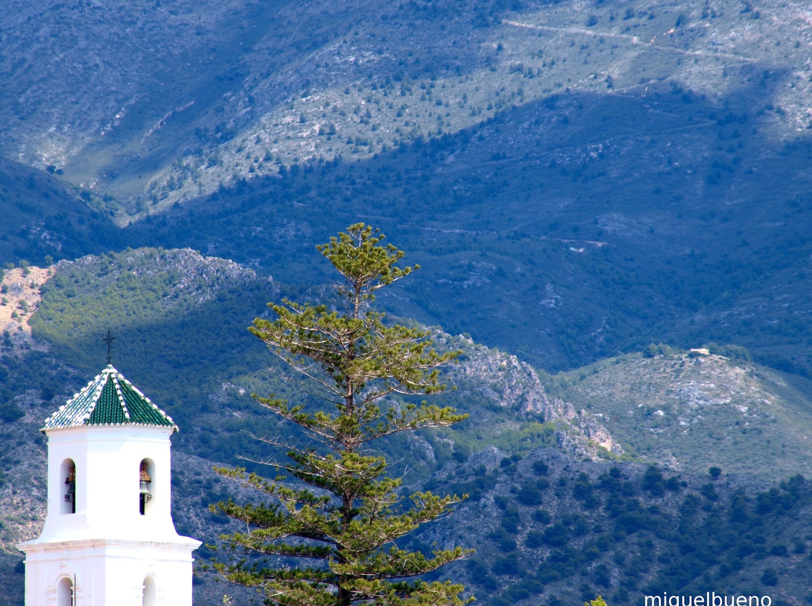 Relatos del Andurrial -inicio-: Árbol Cerote. Nerja.