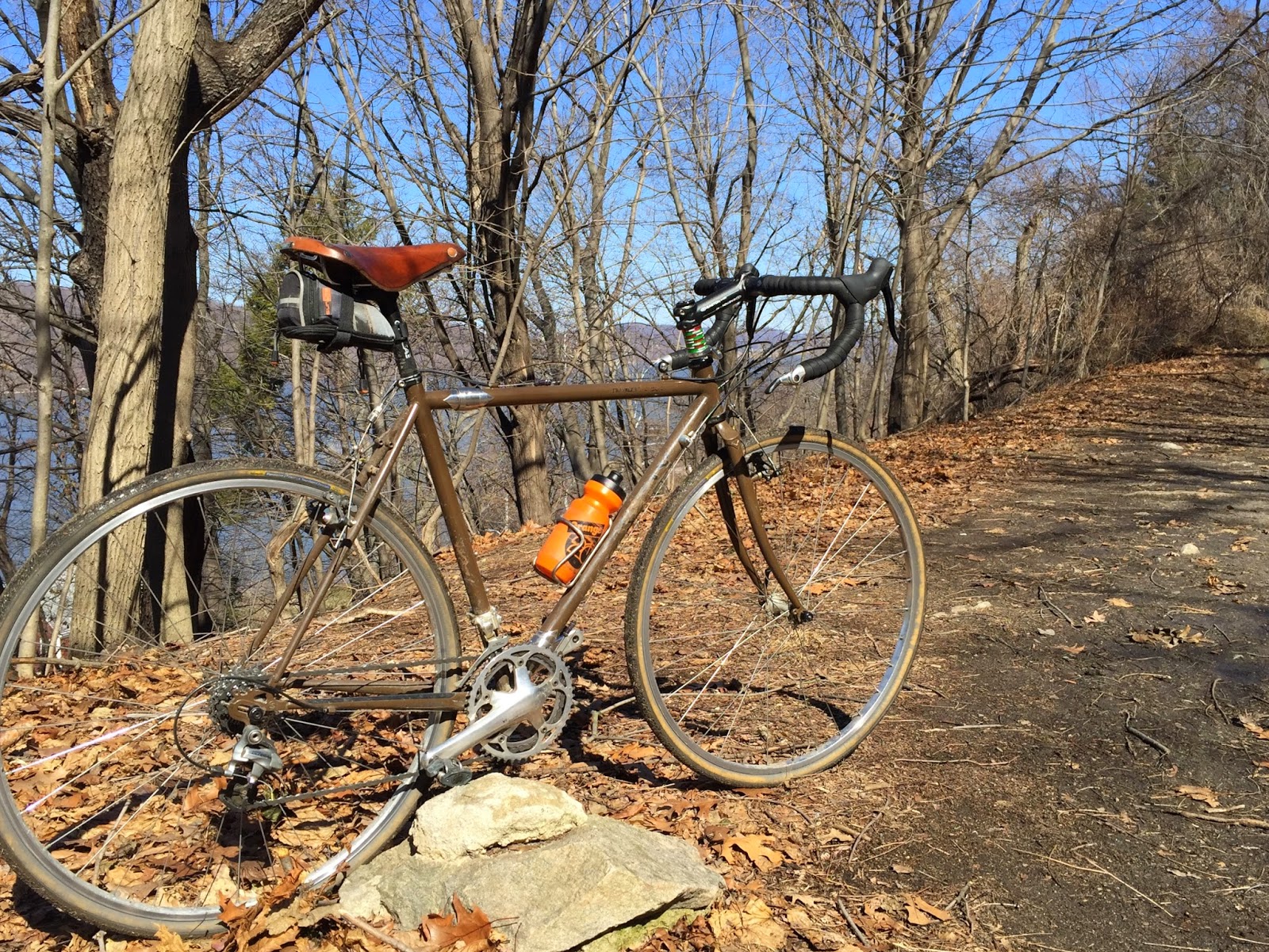 Bike Snob NYC: Sprayed and Neutered: When It Comes To Safety, It's All ...