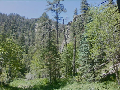 Southern New Mexico Explorer: South Fork Bonito Creek, LIncoln National ...
