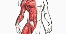 Character Pose - Tarzan