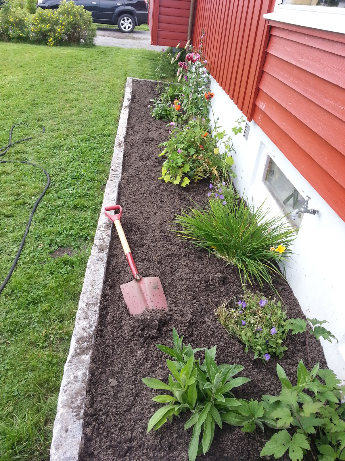 Solsikkehjerte: Nye blomsterbed og flott uteplass:)