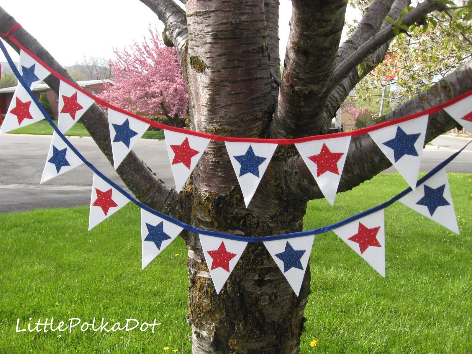 Nap Time Journal: 4th of July Pennant Flag Star Banners