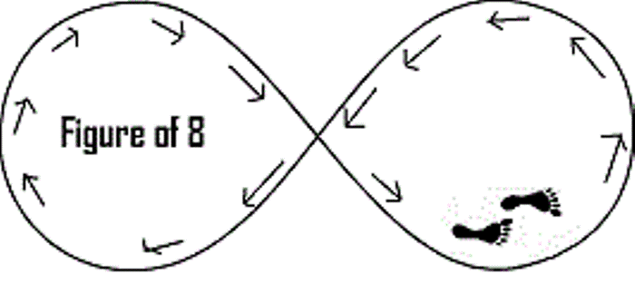All you want to know about figure 8 walk