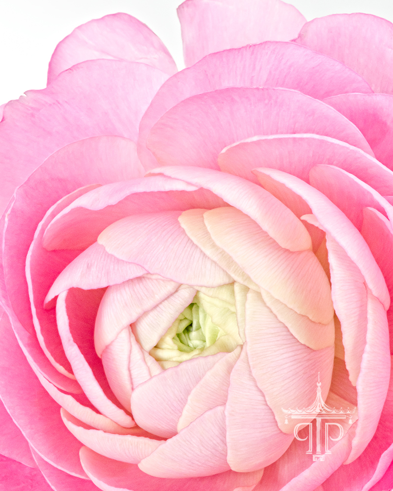 Chinoiserie Chic: Fabulous Friday Finds