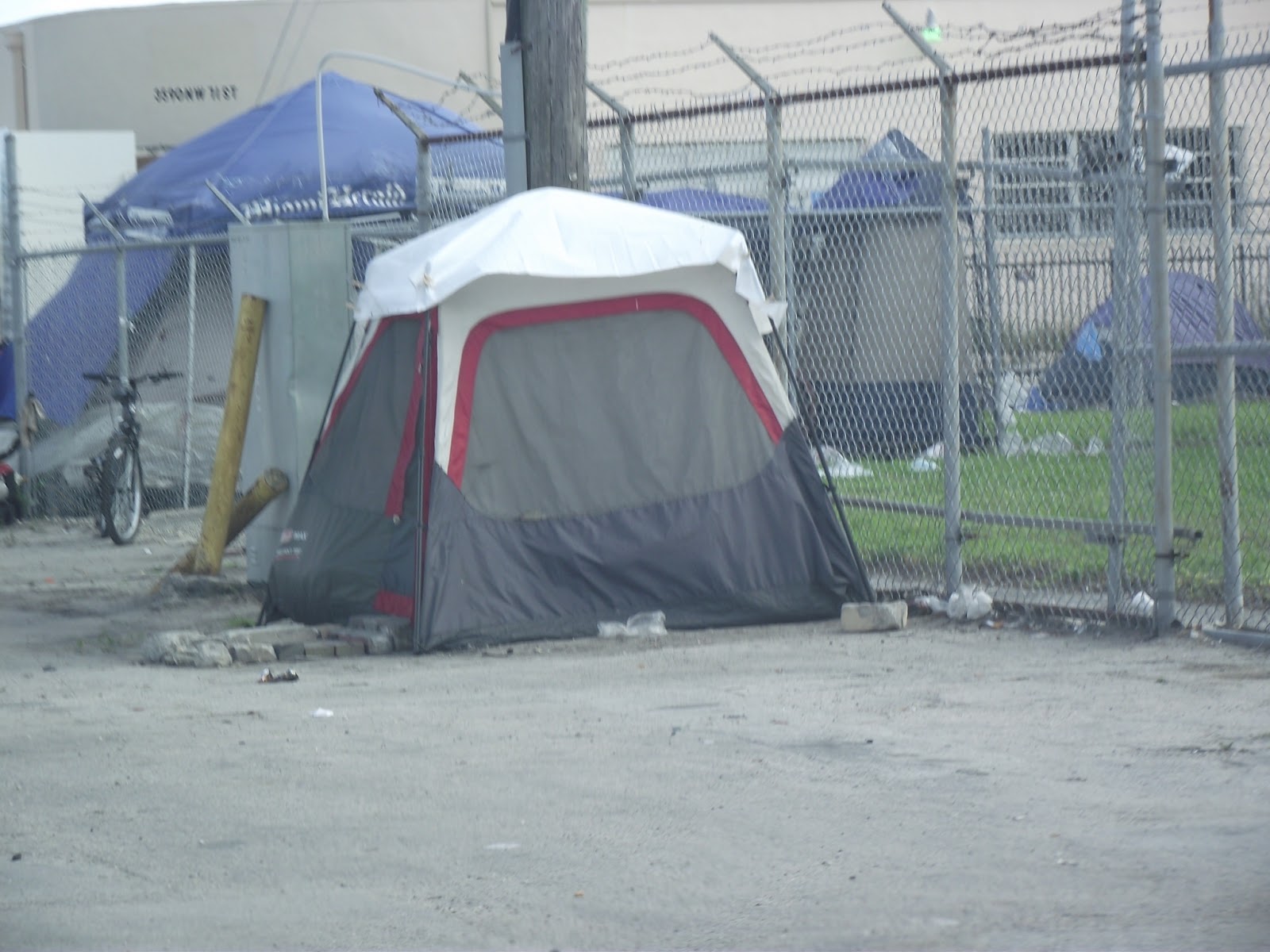 Floridians for Freedom: Ron and Lauren Book EXPOSED!: Ron Book, head of ...