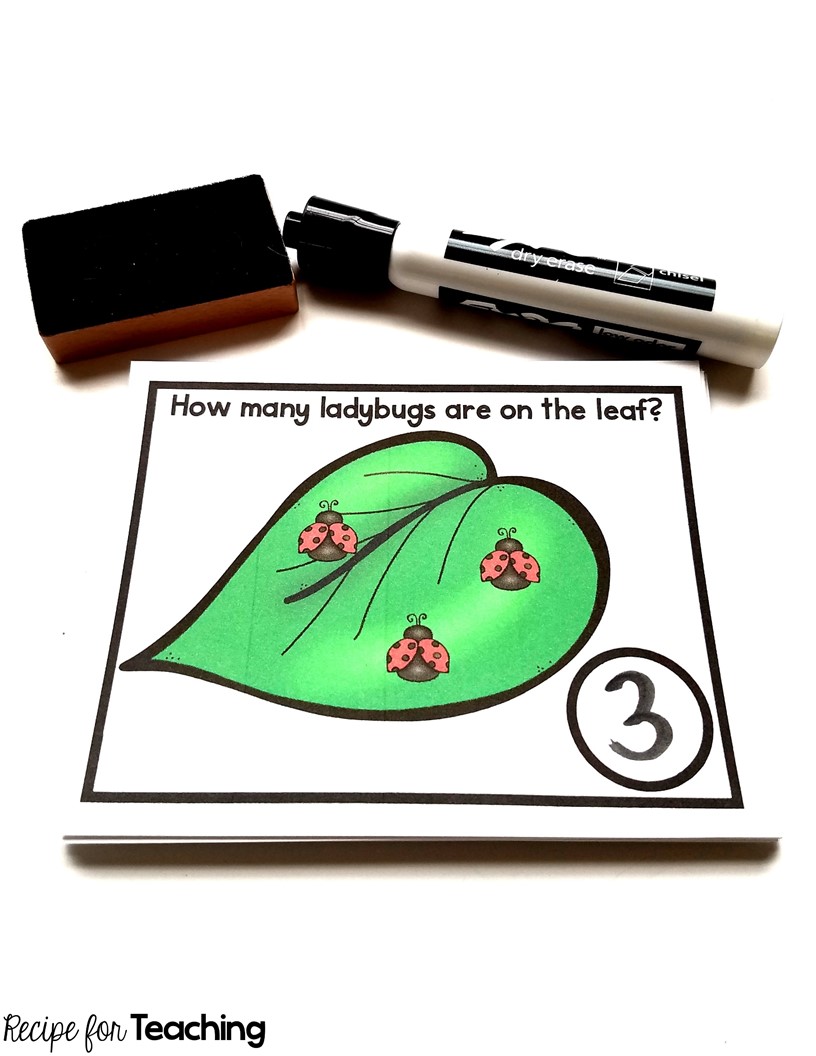 Ladybug Counting - Recipe for Teaching