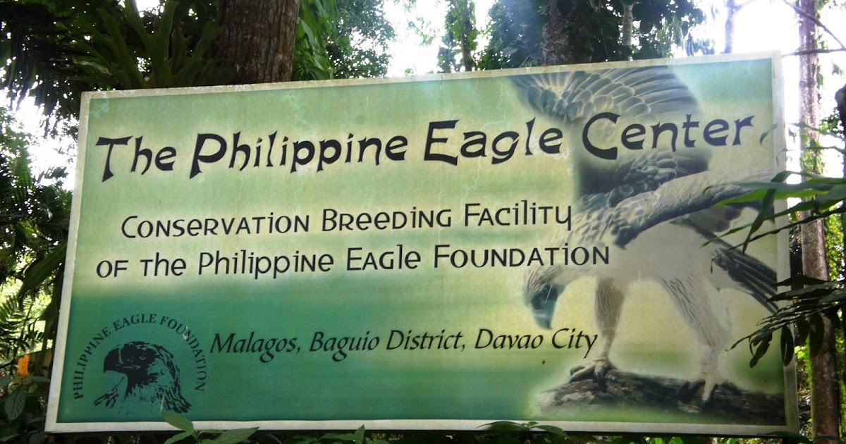 Philippine Eagle Center (DAVAO CITY)