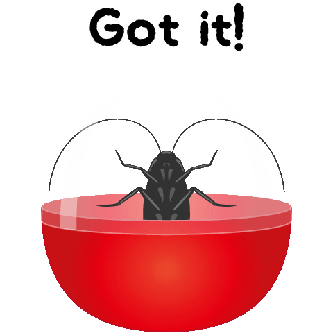 Moving Cockroach Gif