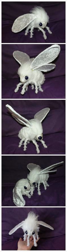 VENEZUELAN POODLE MOTH photos - wallpapers (ανανεωμένο) | the fun bank