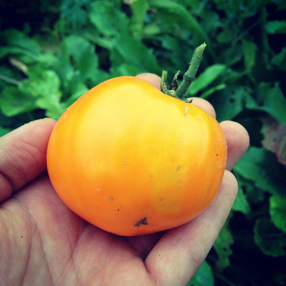 Striving Toward Sustainable