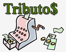 TRIBUTACION: INTRODUCCIÓN A LA TRIBUTACION