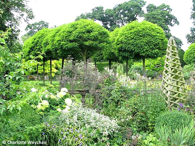 Heale House - one of Wiltshire's secrets - a garden for all seasons