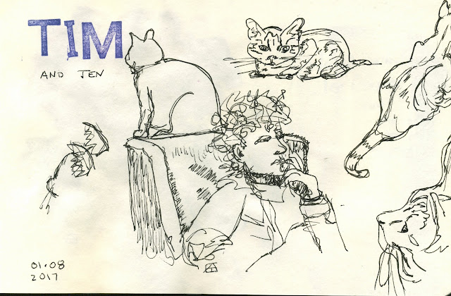 Scribbling With Spirit: Concentrating on a Cat (Tim, That Is)