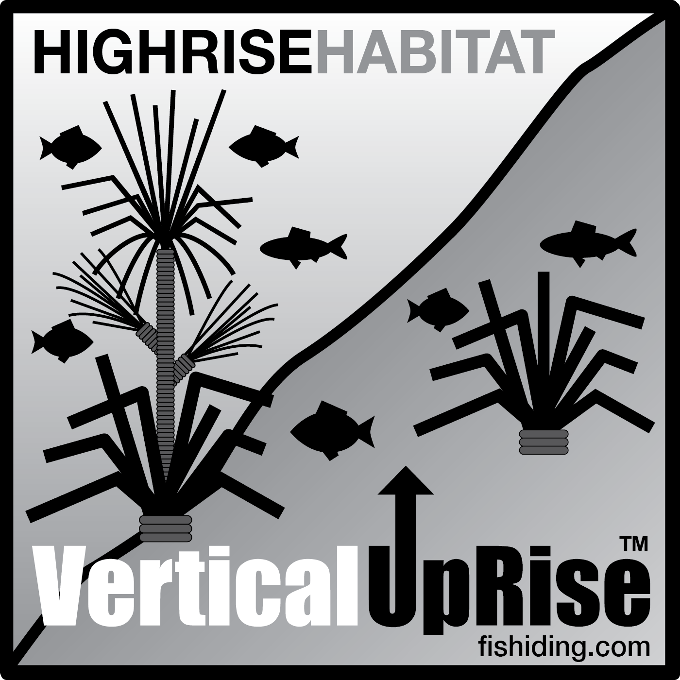 Engbretson Underwater Photography: Fishiding Leads the Way in ...