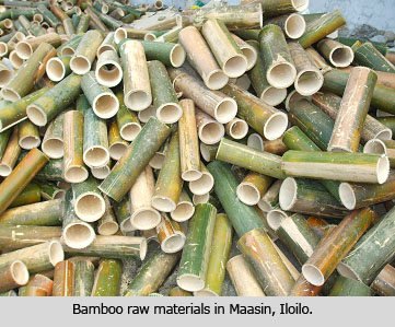 Seeking niche in $1B bamboo market ~ Iloilo Blogazine