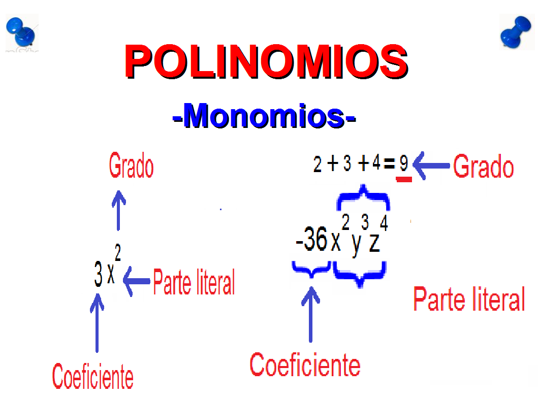 LOS MONOMIOS