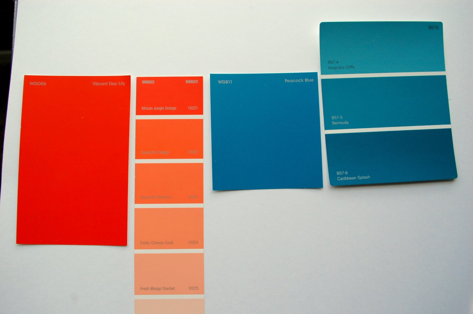 Paint chip art - Zodirowe