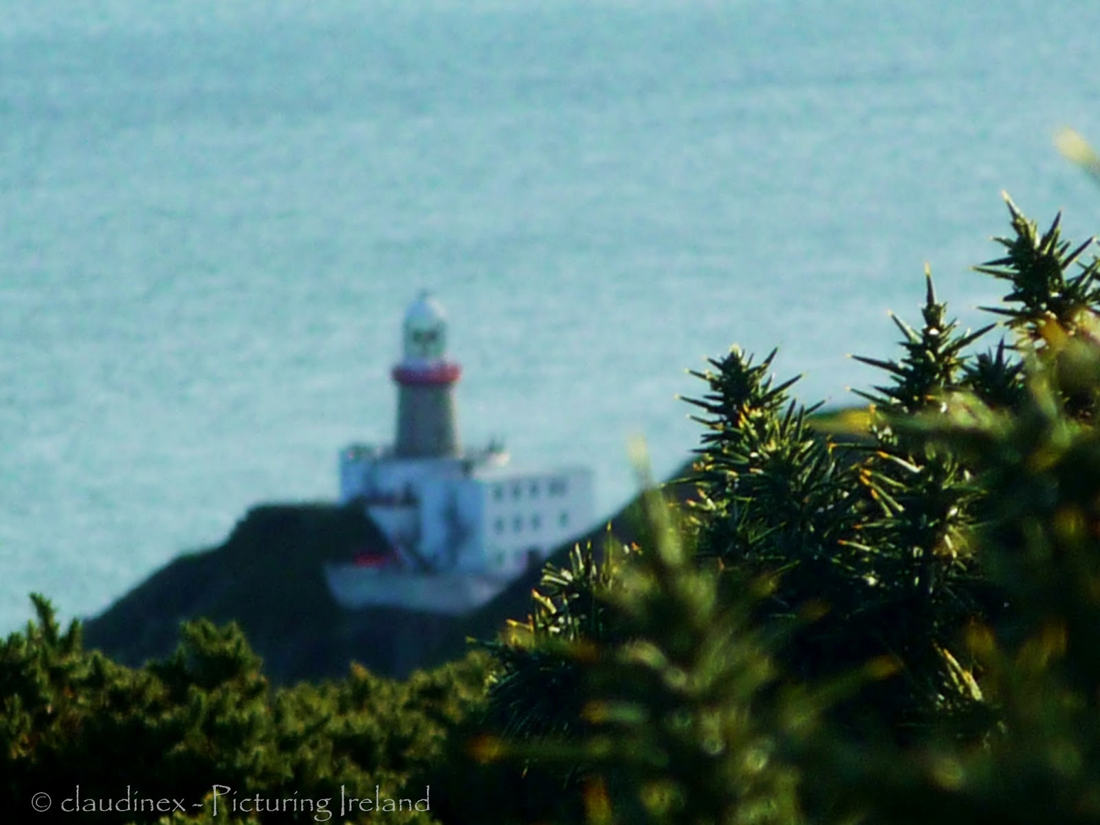 Picturing Ireland : Howth Head cliff walk, Co. Dublin