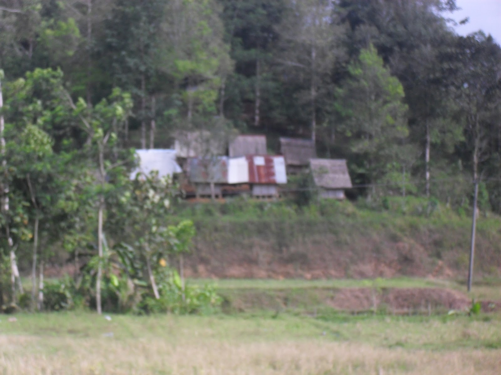 Jejak Karuhun: Leuit...Lumbung Padi Masyarakat Sunda