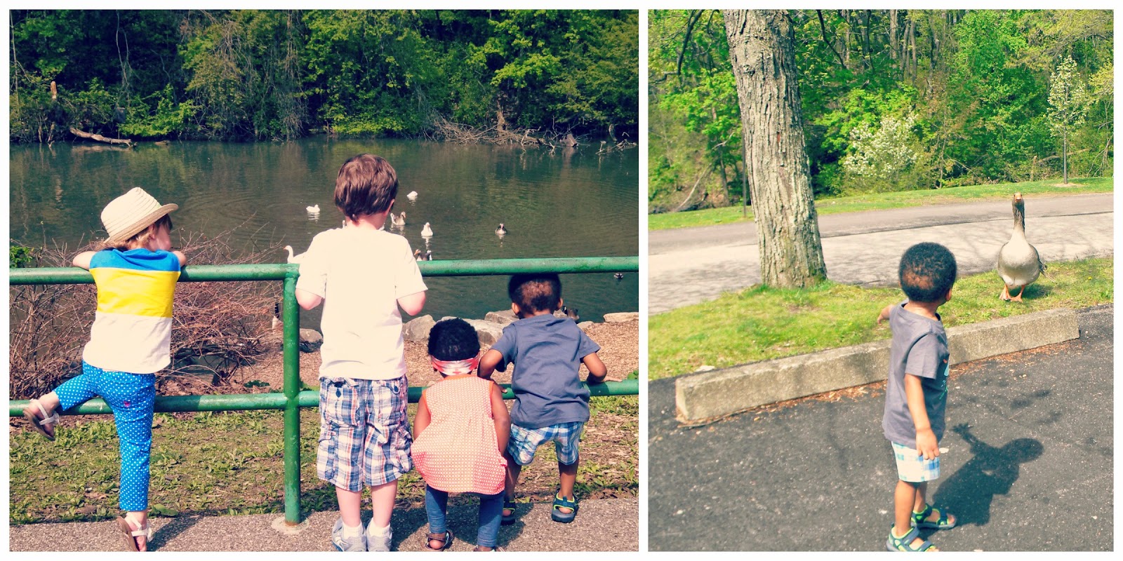 Pgh Momtourage: In Review: Round Hill Park + Exhibit Farm