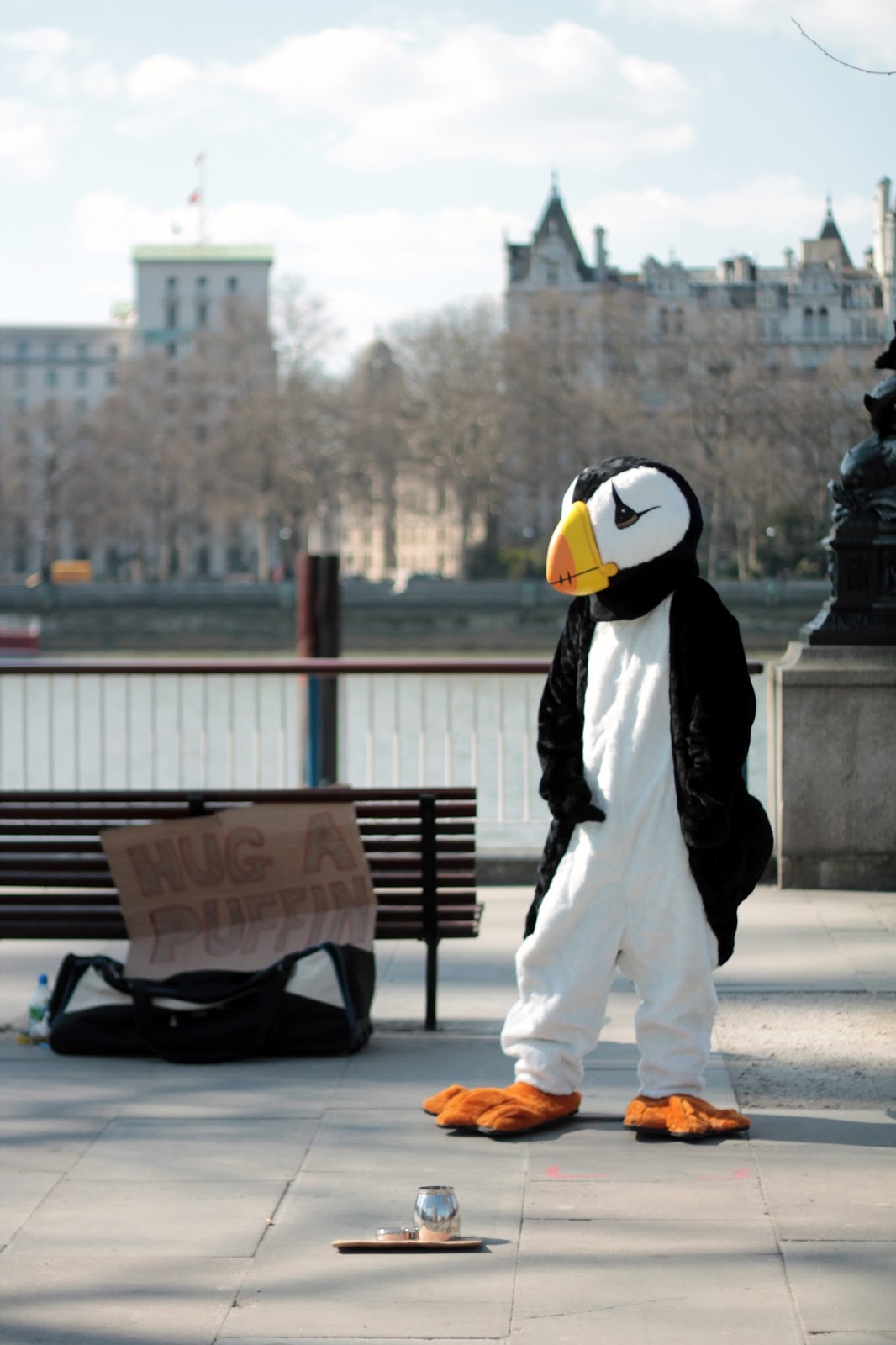 mitcheci photos: London: Hug a Puffin