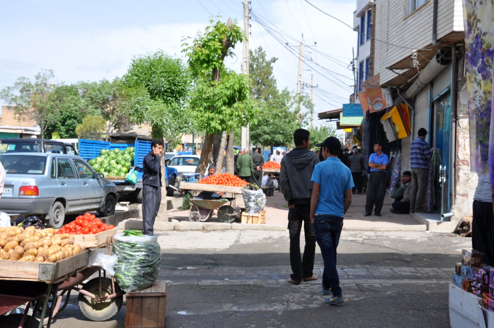 The Olive Journey: A stopover in Kamyaran - Kurdistan, Iran