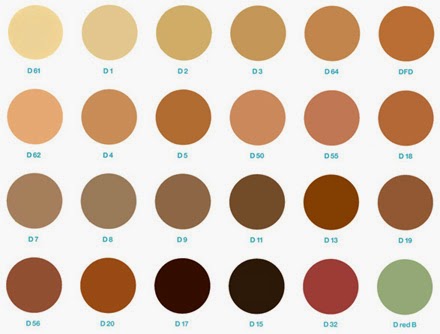 The Limited Palette Workshop: Make-up Charts can make useful Skin Tone ...
