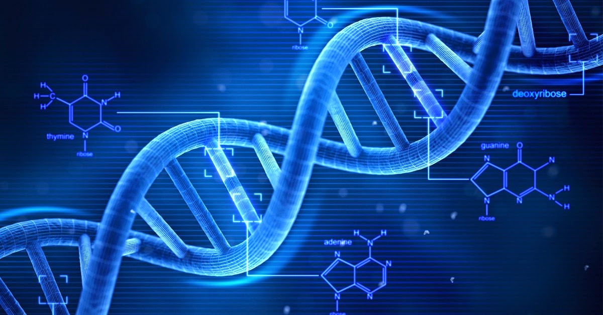 Replikasi Bahan Genetik (DNA dan RNA)