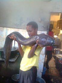 MWAIPAYA HARAKATI ZA HABARI: WILSON KAZAURA ASHUSHA MZIGO MPYA WA ...