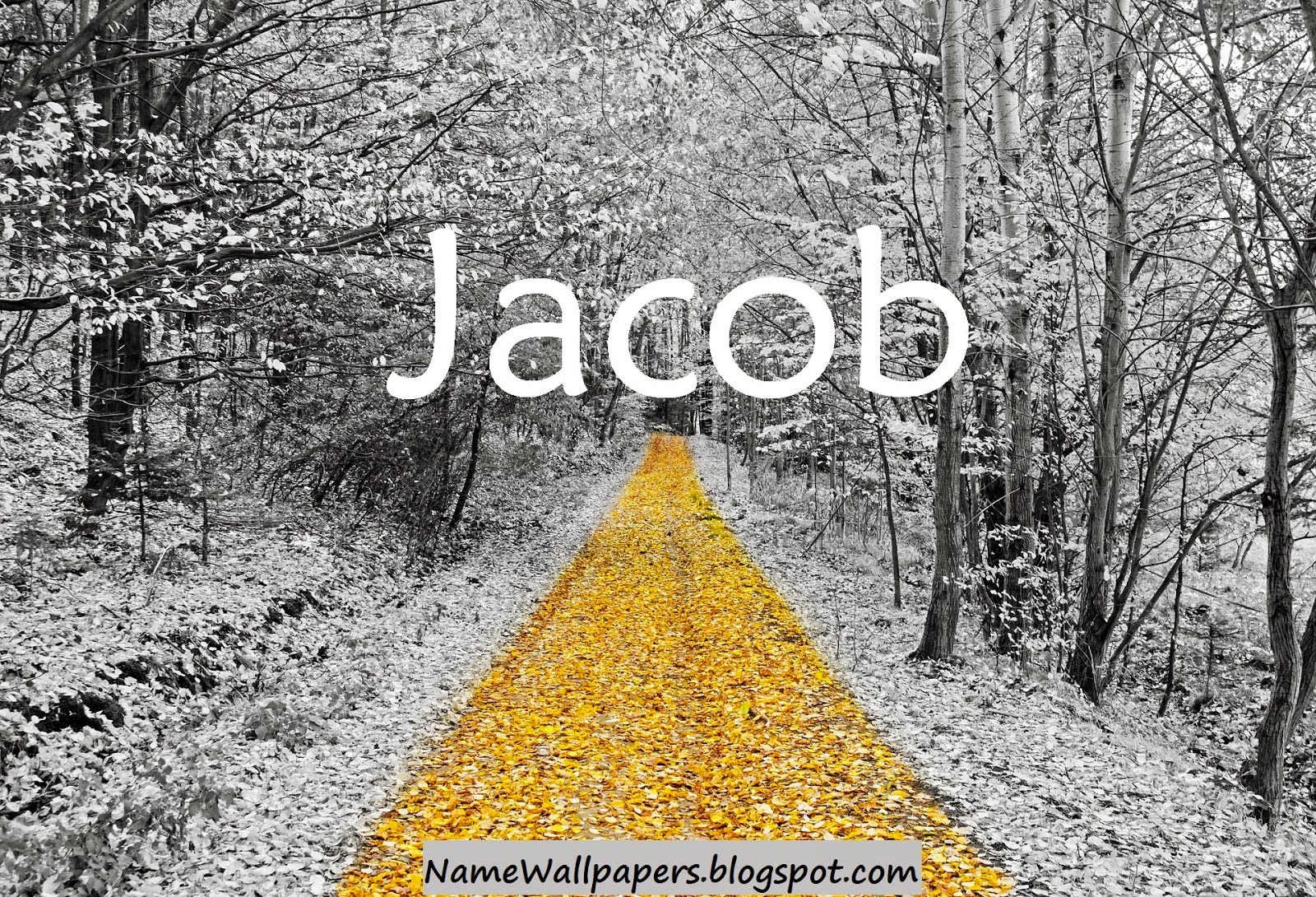 Jacob Name Wallpapers Jacob ~ Name Wallpaper Urdu Name Meaning Name ...