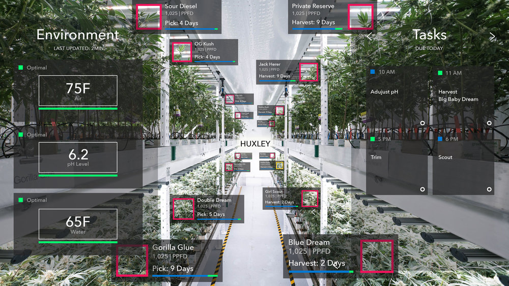 Infinite Journey to I AM. 나에게로의 끝없는 여행: 대마초 실내 재배를 위한 환경 설계 ...