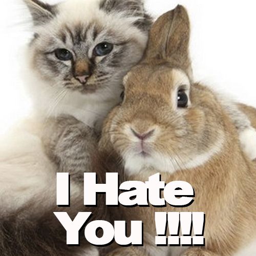 Funny Meme: Funny I hate You Meme